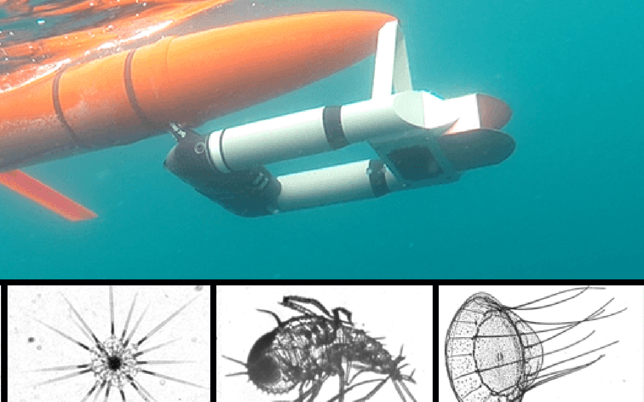 New Robot Can Sense Plankton Optically and Acoustically
