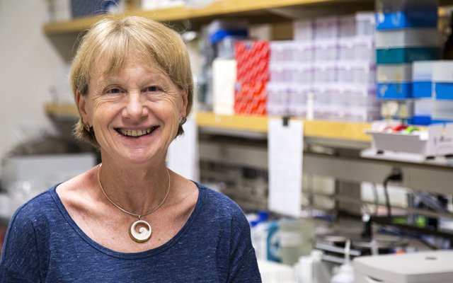 Gene Variant Identified for Kawasaki Disease Susceptibility