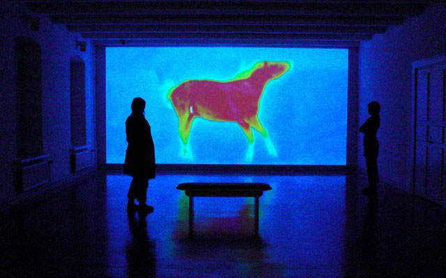 New Exhibit at the Qualcomm Institute’s gallery@calit2 Explores ...