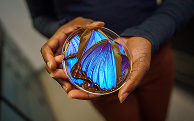 UC San Diego Named Nation’s 6th Best Public University by U.S. News ...