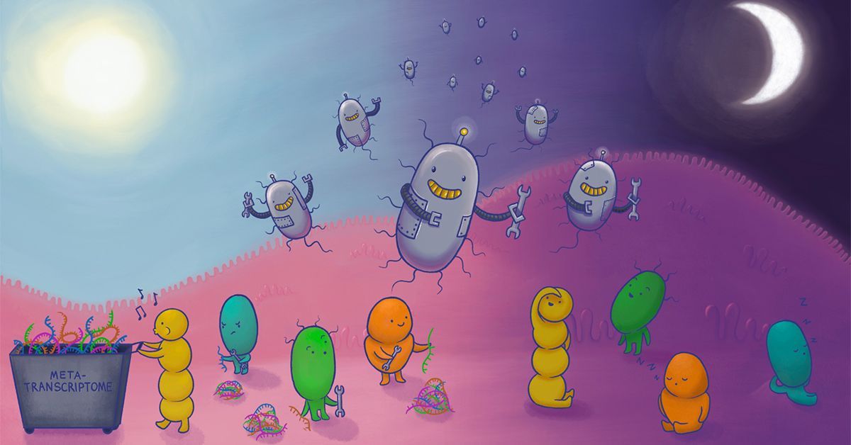 Tracking Microbial Rhythms Reveals New Target for Treating Metabolic ...