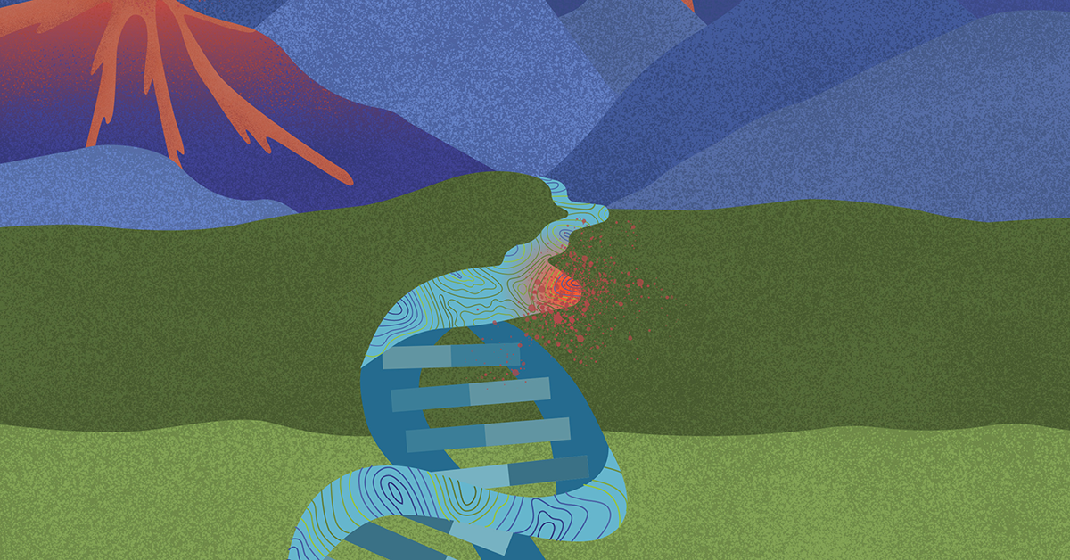 Topography of the Genome Influences Where Cancer Mutations Thrive ... Topography of the Genome Influences Where Cancer Mutations Thrive ...