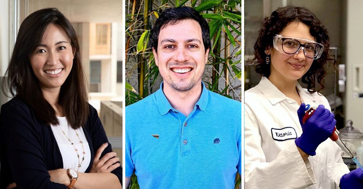 Praise for Postdocs, Our Research Pros and Meaningful Mentors