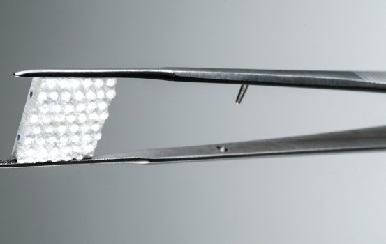 Recently Discovered Protein Turbocharges Gene Expression