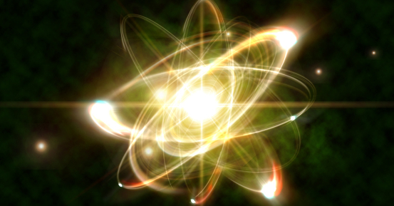 First Jellyfish Genome Reveals Ancient Beginnings of Complex Body Plan