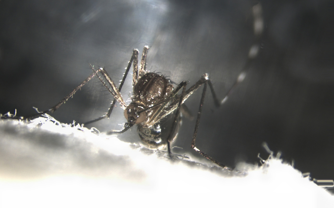 UC San Diego Researchers Join $14.9 Million Fight Against Disease ...