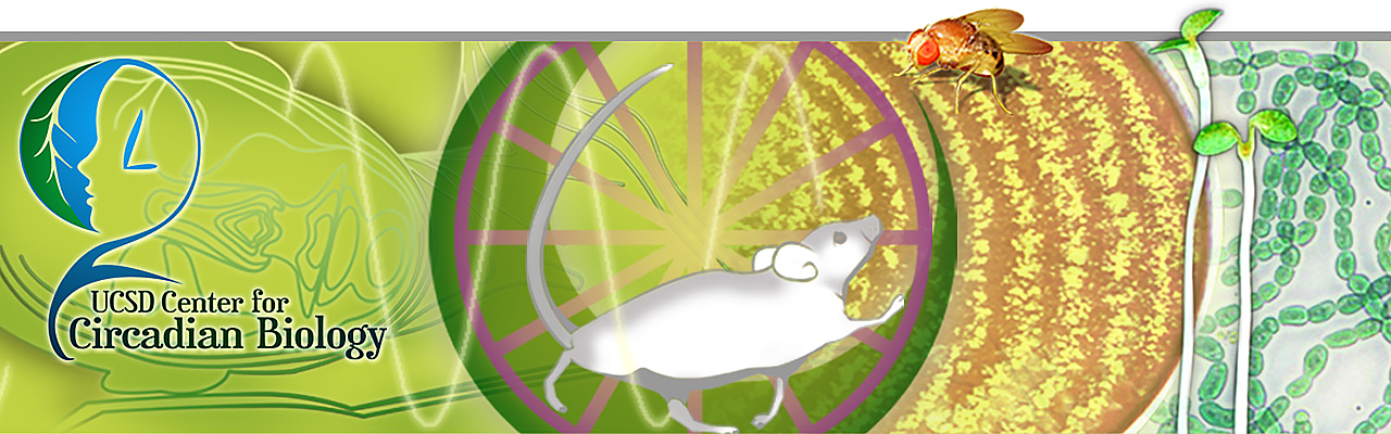 UC San Diego Welcomes Nobel Prize Winner Michael W. Young to Campus