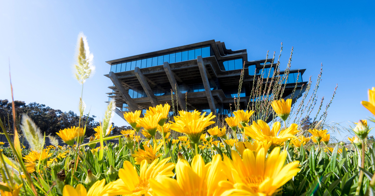 UC San Diego Named 5-Star College by Money
