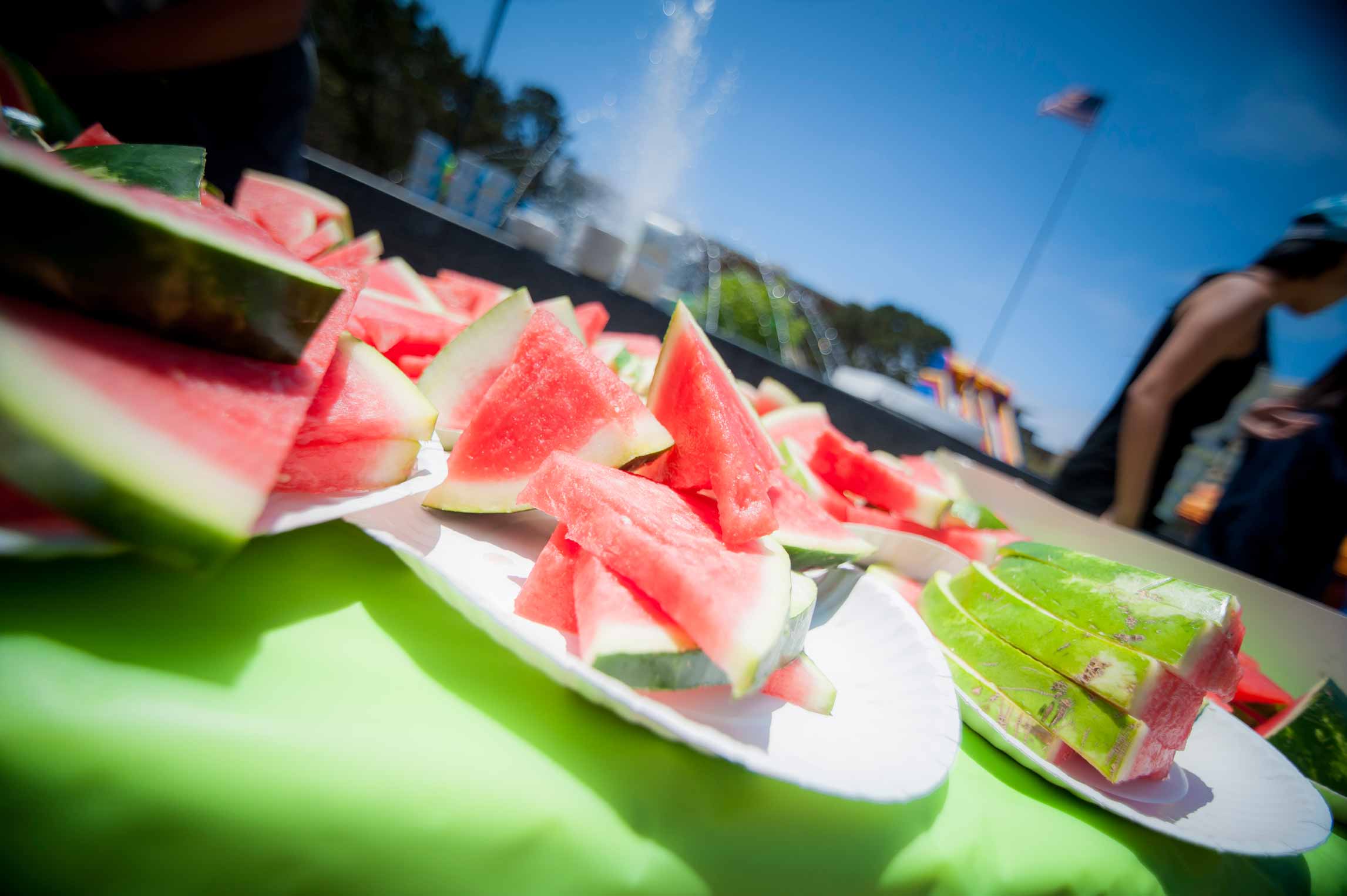Watermelon Drop 2014