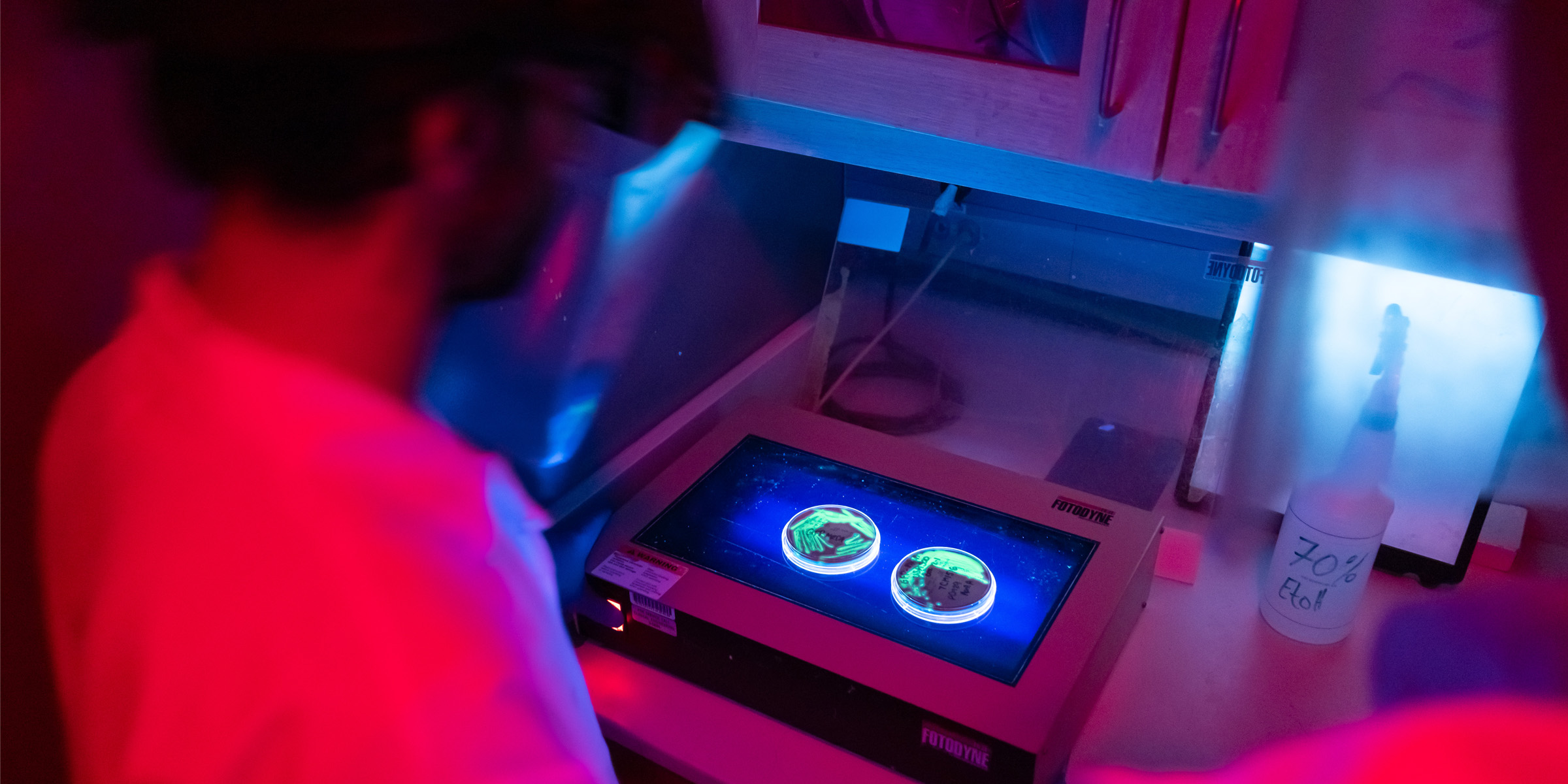 Staphylococcus Aureus Thwarts Vaccines by Turning on a Protein That ...