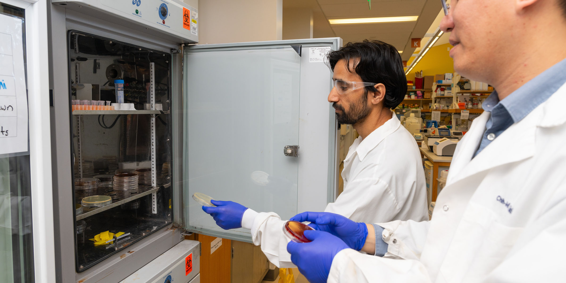 Staphylococcus Aureus Thwarts Vaccines by Turning on a Protein That ...