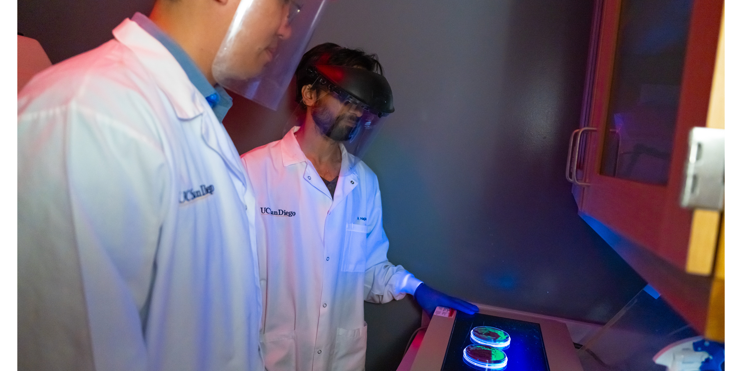 Staphylococcus Aureus Thwarts Vaccines by Turning on a Protein That ...