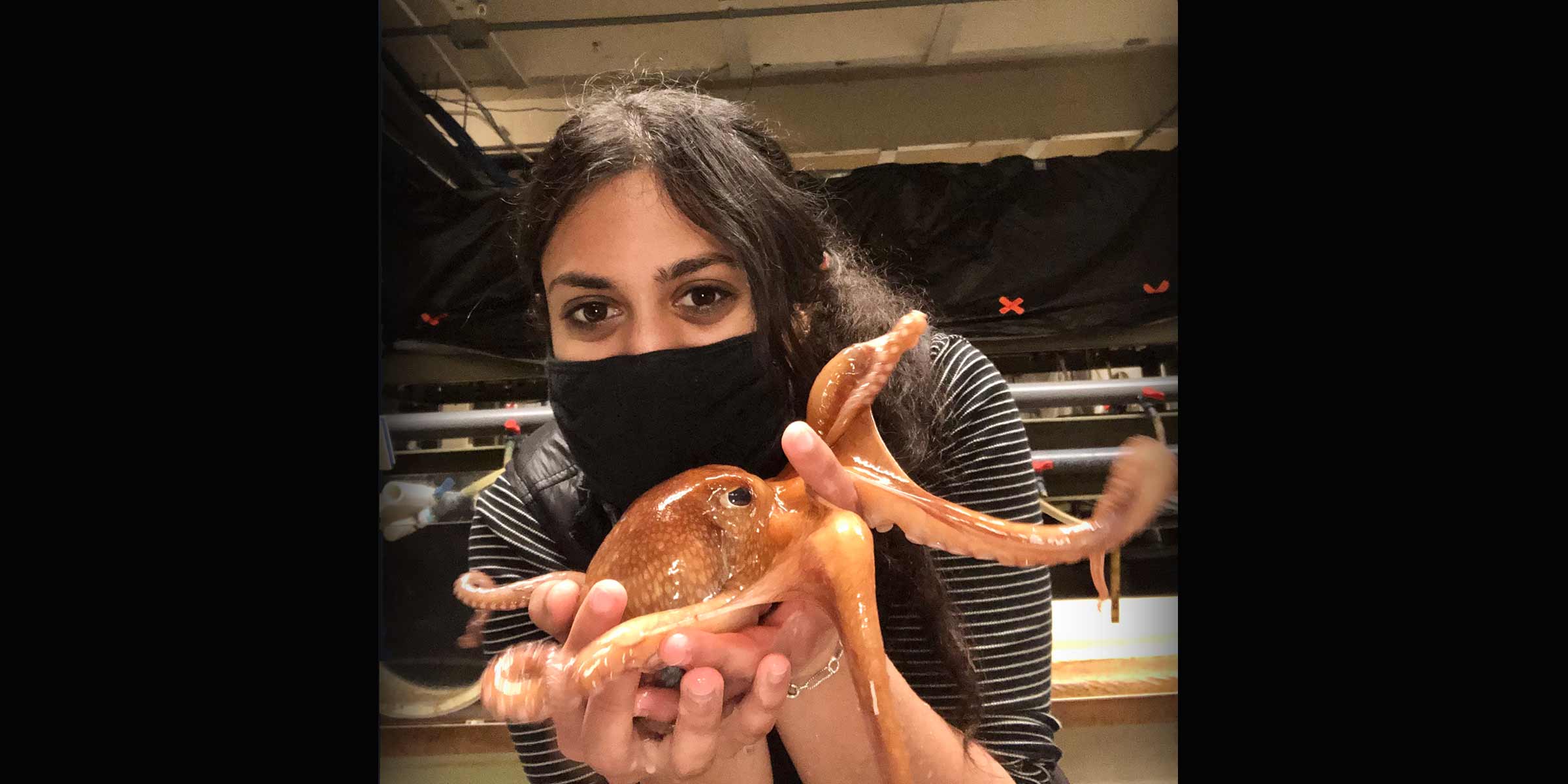 Rescued Octopus Provides Rare Chance for Researchers to Understand Life ...