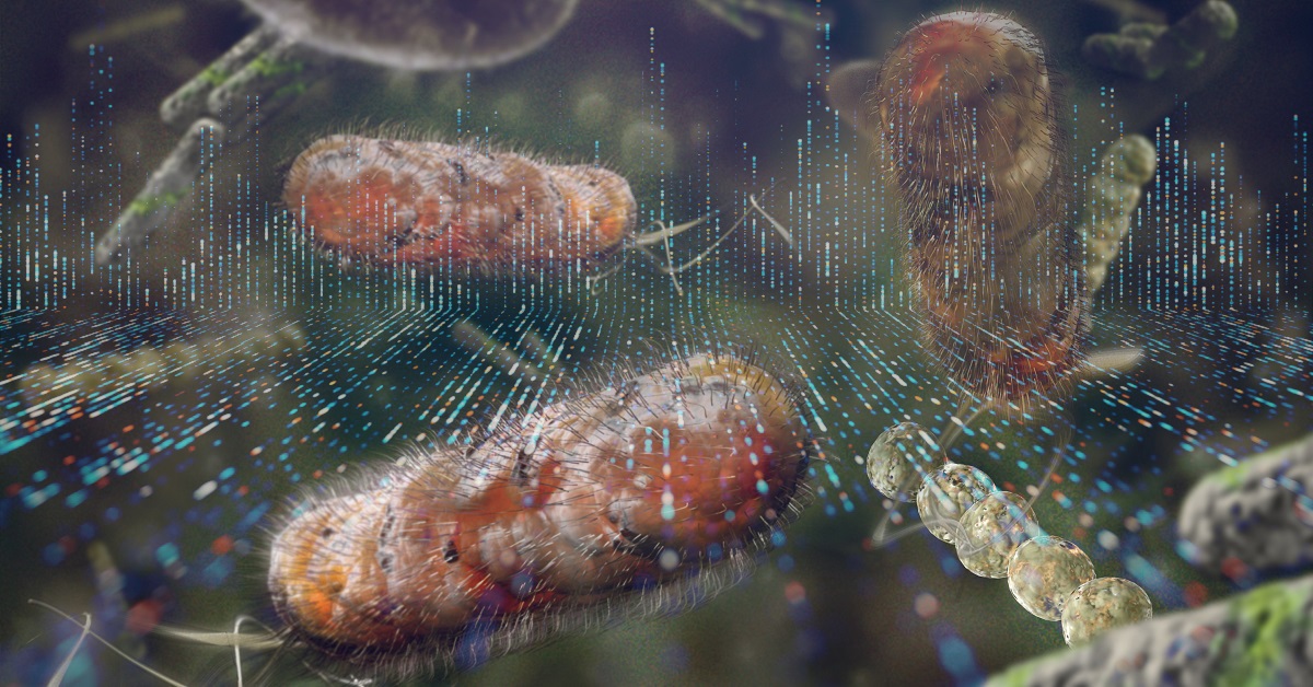 UC San Diego Researchers Develop New Tool to Predict How Bacteria ...