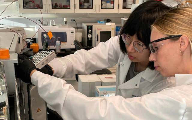 School of Computing, Information and Data Sciences